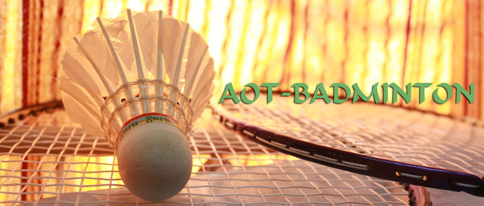 Badminton Trappes